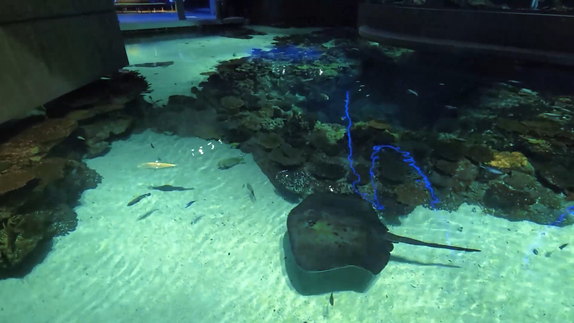 Blacktip Reef Consulting | Night Kitchen