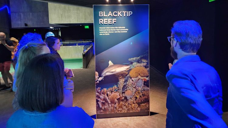 Blacktip Reef Consulting | Night Kitchen
